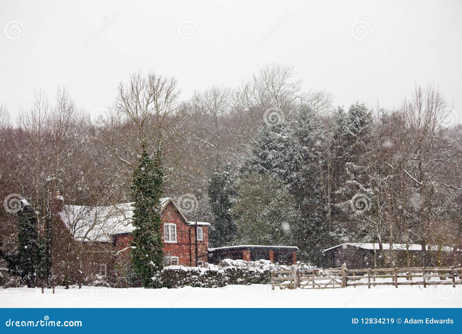 Rural Home among Woodland in a Snowstorm Stock Image - Image of climate ...