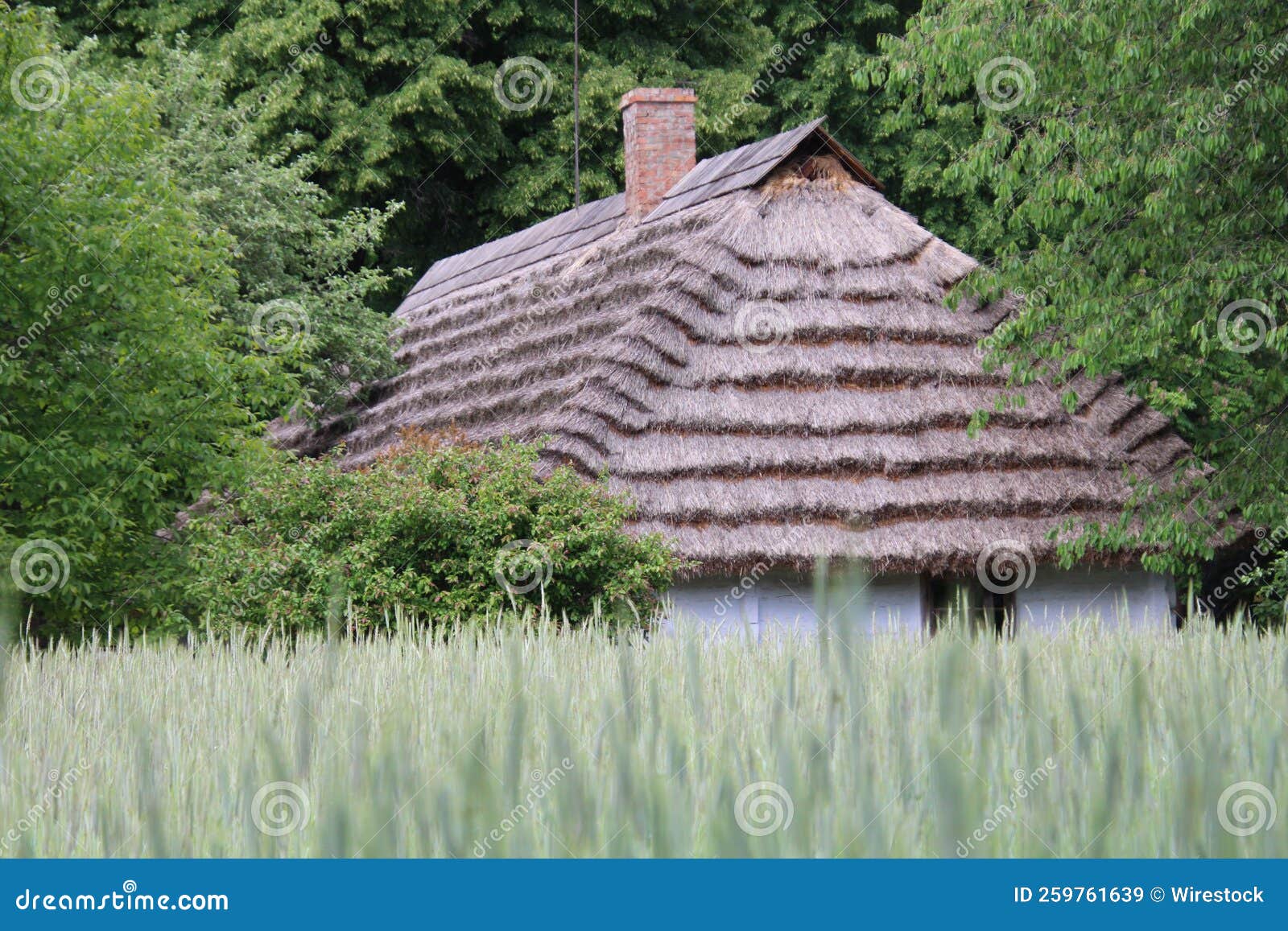 Rural House with Thatched Roof in the Forest Stock Image - Image of ...