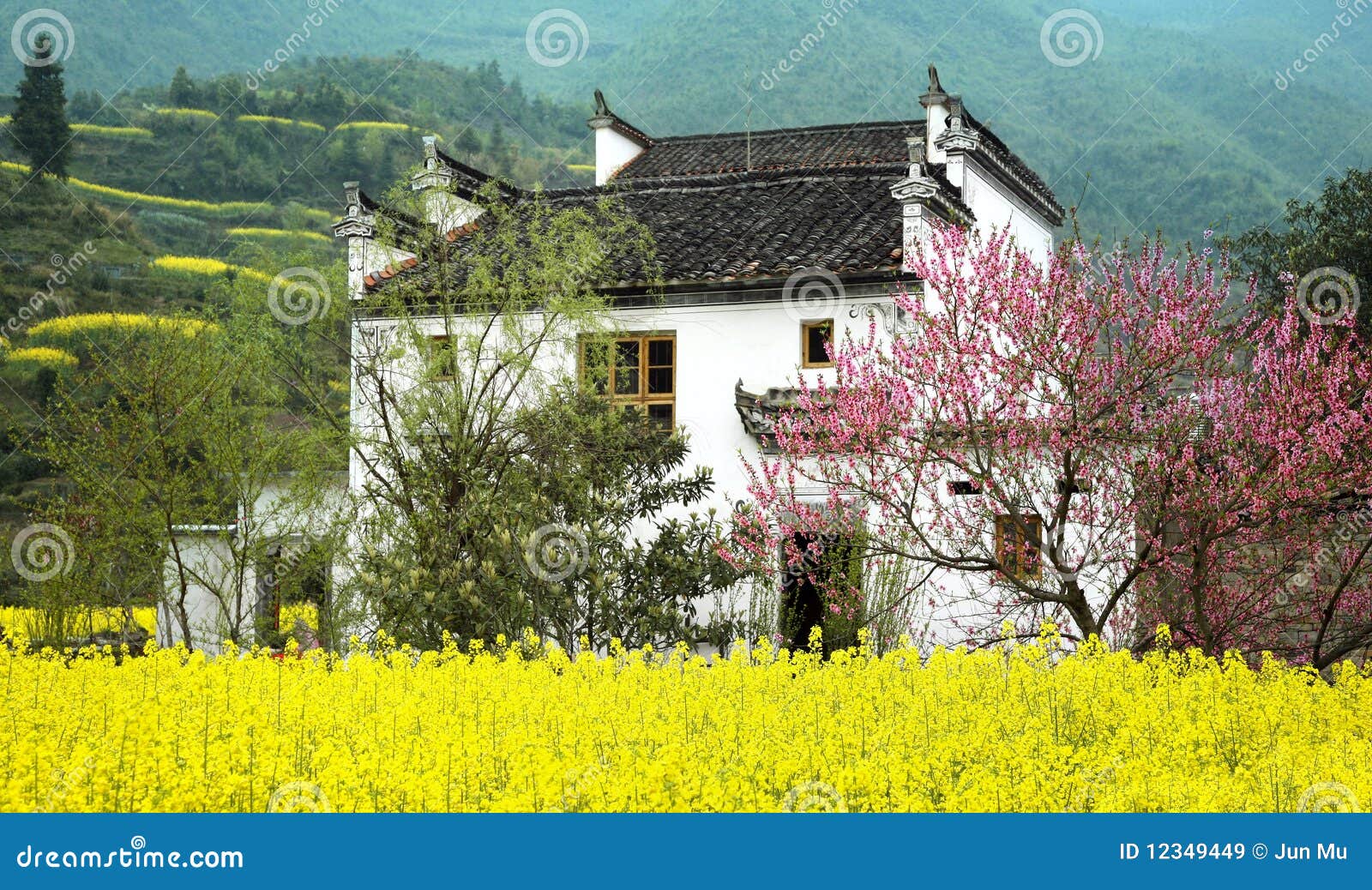 Rural housing stock image. Image of building, scenery - 12349449