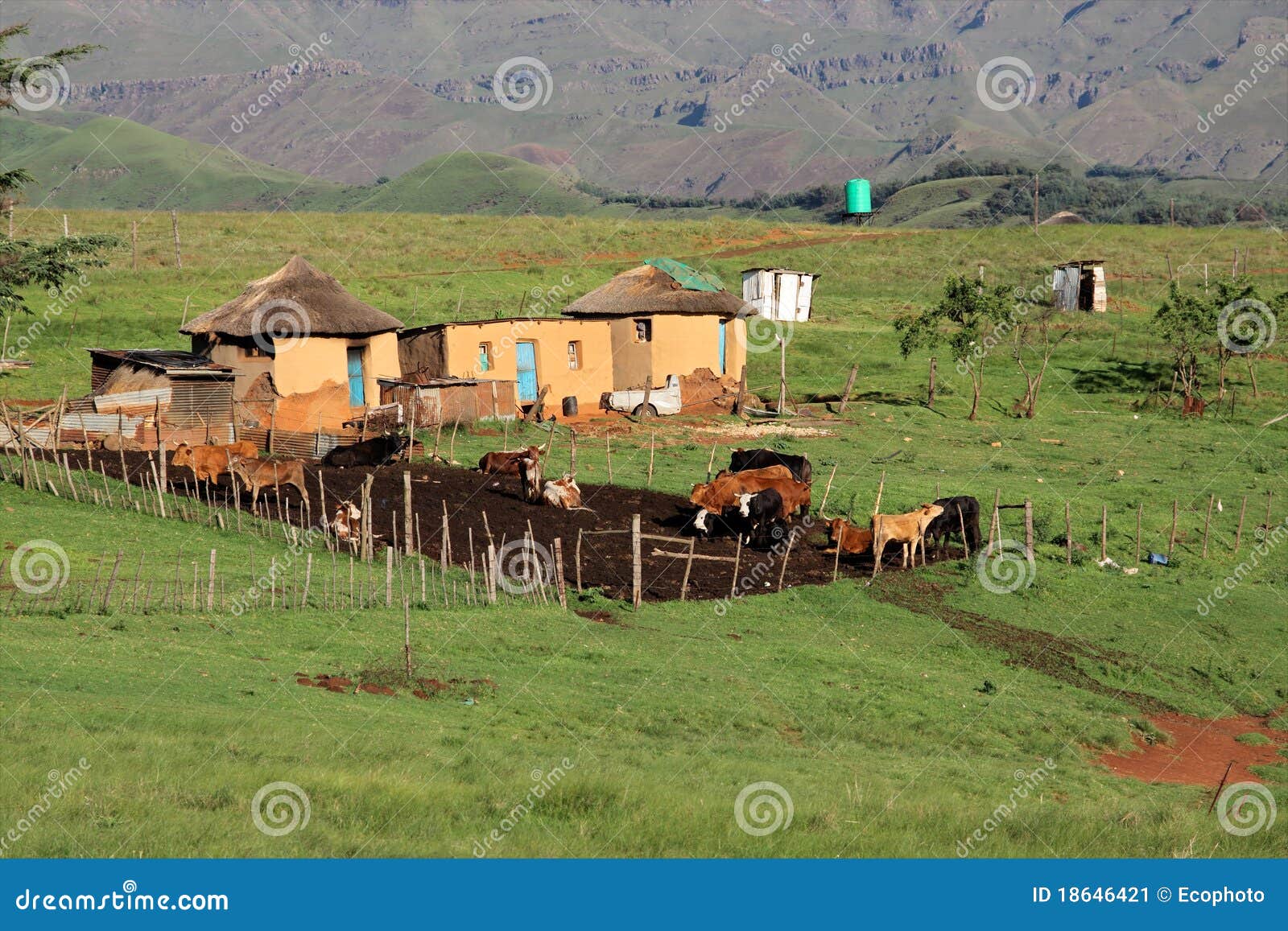 Rural Settlement