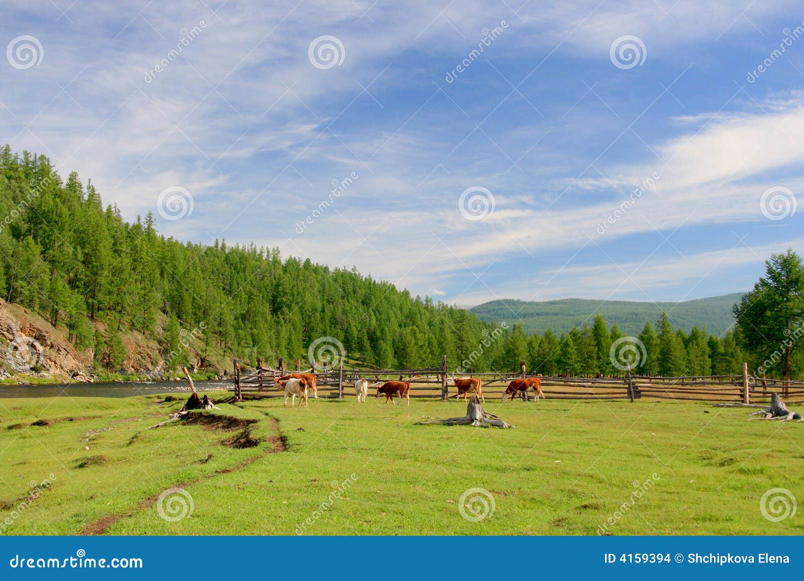 Rural idyll stock photo. Image of hill, life, horizontal - 4159394