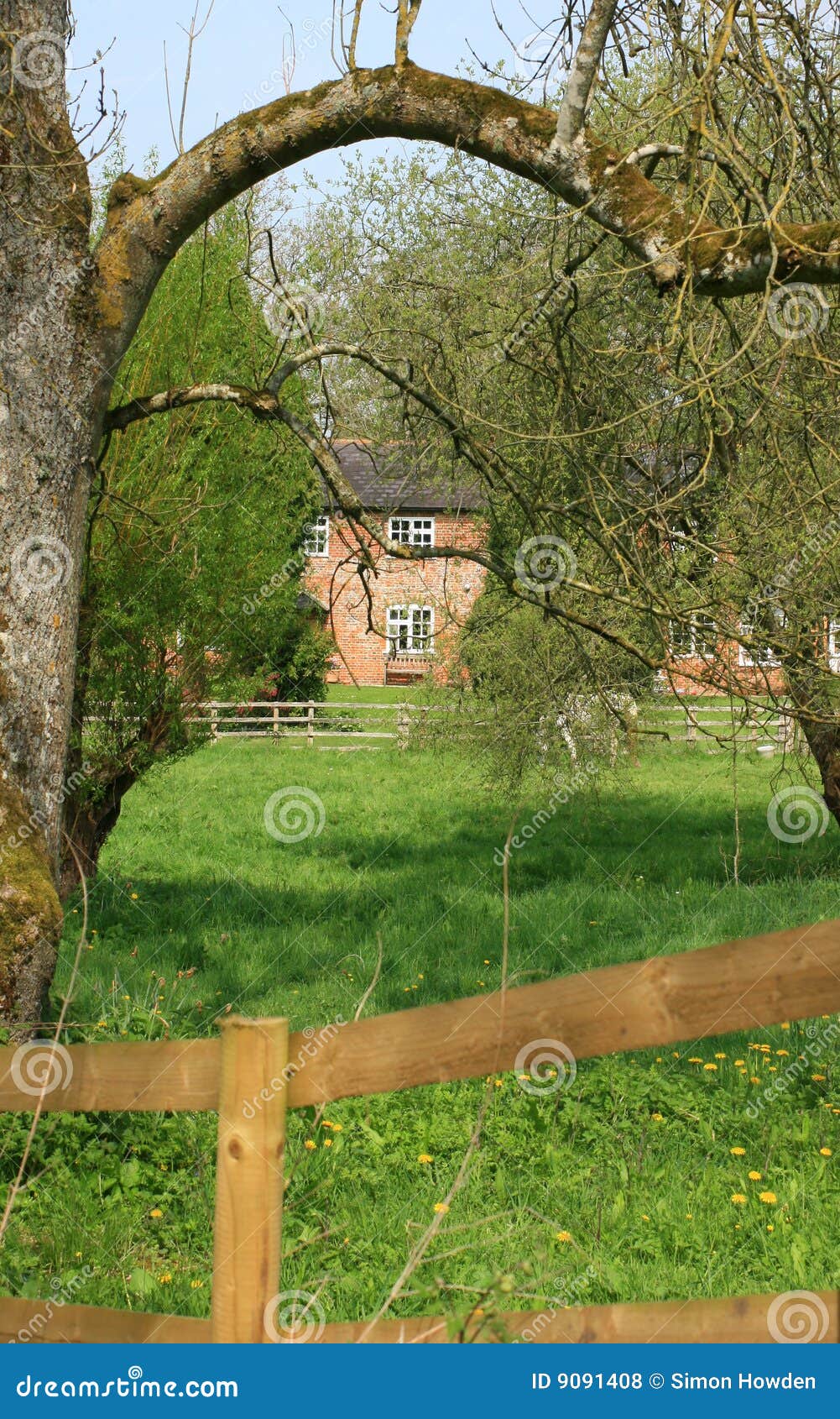 Rural idyll stock photo. Image of wood, idyll, wiltshire - 9091408