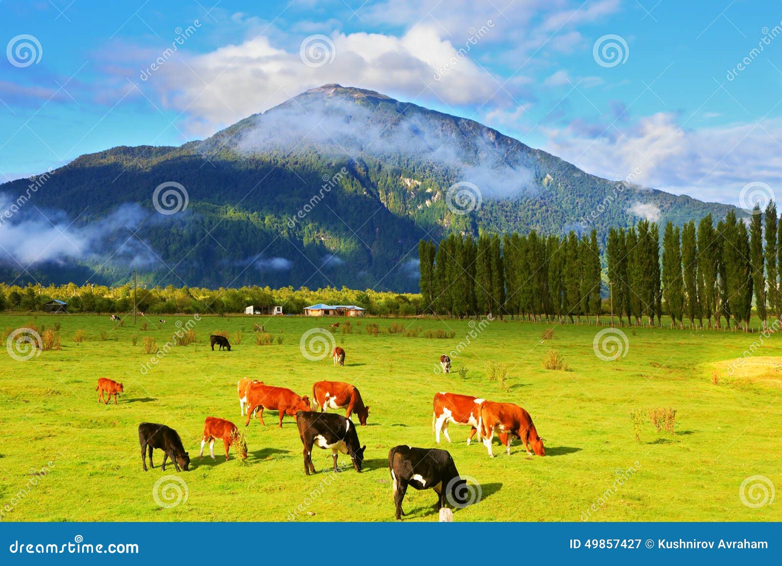 Rural idyll in Chile stock image. Image of agriculture - 49857427