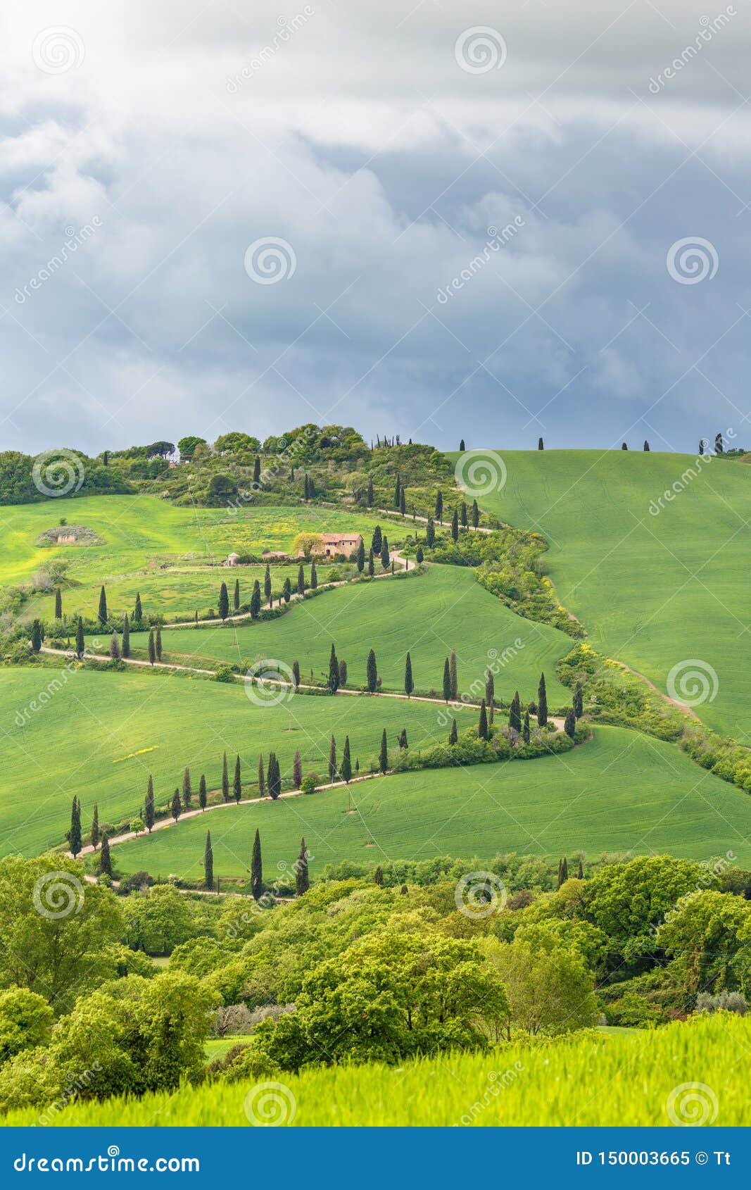Rural Idyll with a Winding Road on a Hill Stock Image - Image of calm ...