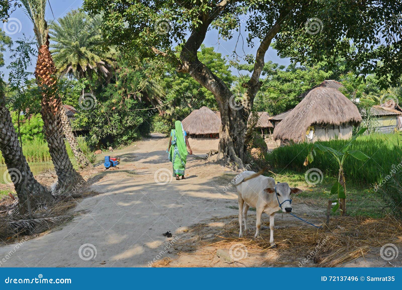 Rural India stock photo. Image of sundarbans, straw, sunlight - 72137496