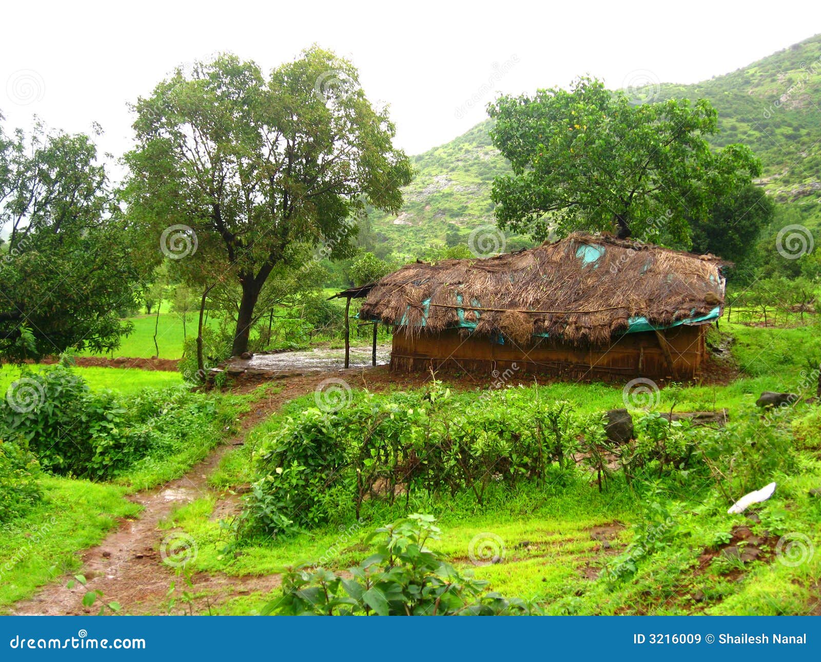 Rural Indian cottage stock image. Image of outside, farmers - 3216009