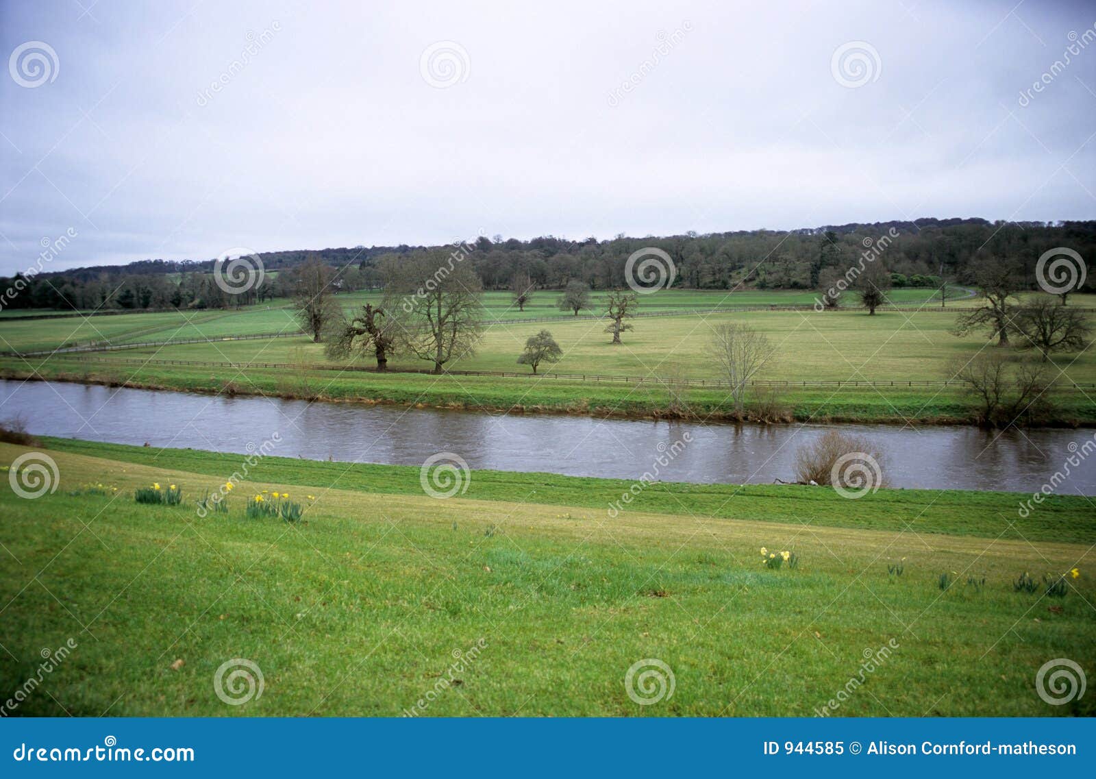 Rural Irish Countryside stock image. Image of stream, nature - 944585