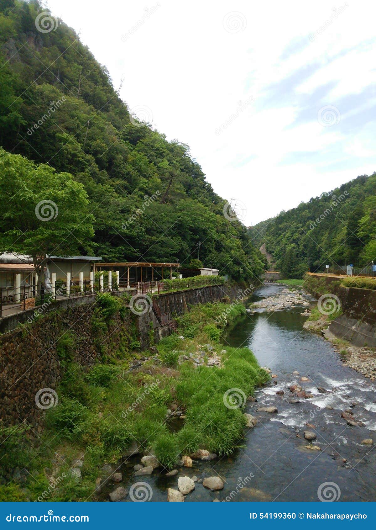 Rural Japan stock photo. Image of trees, japan, woods - 54199360