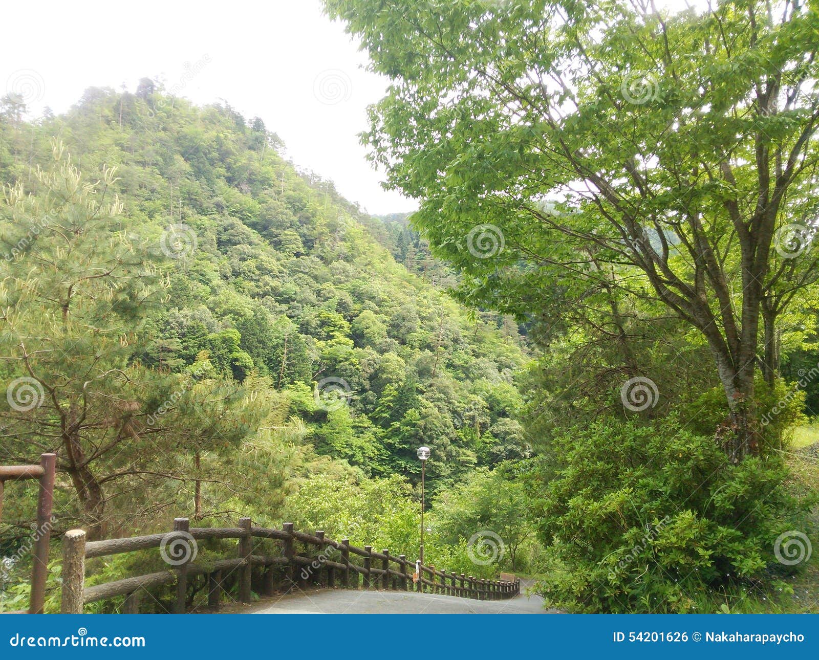 Rural Japan stock photo. Image of rural, japan, woods - 54201626