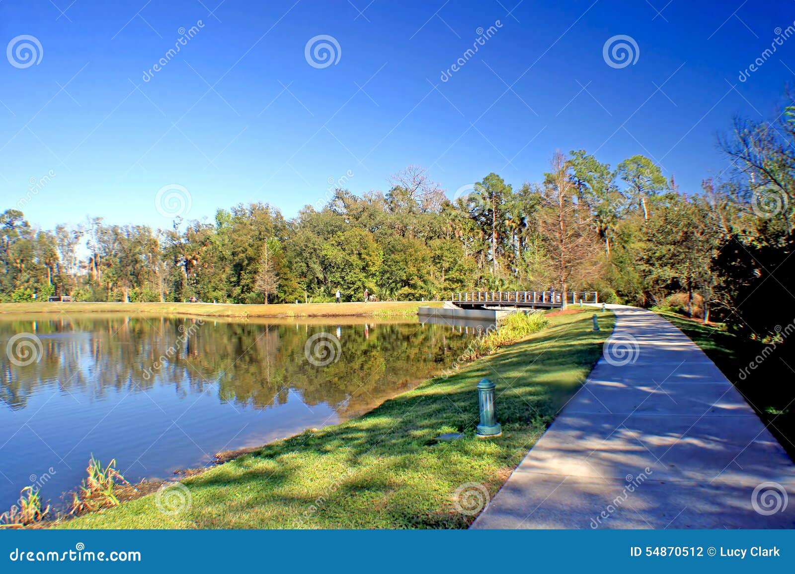 Rural Lake stock photo. Image of travel, nature, landscape - 54870512