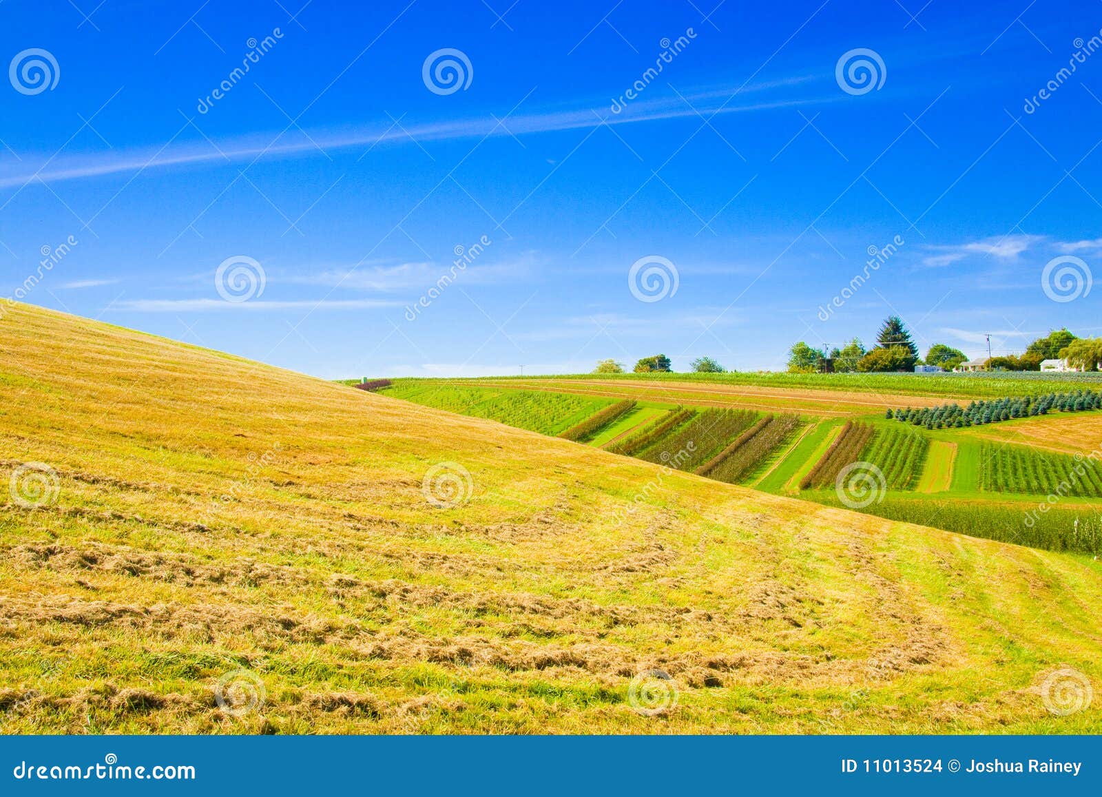 Rural Landscape stock photo. Image of ranch, lines, homestead - 11013524