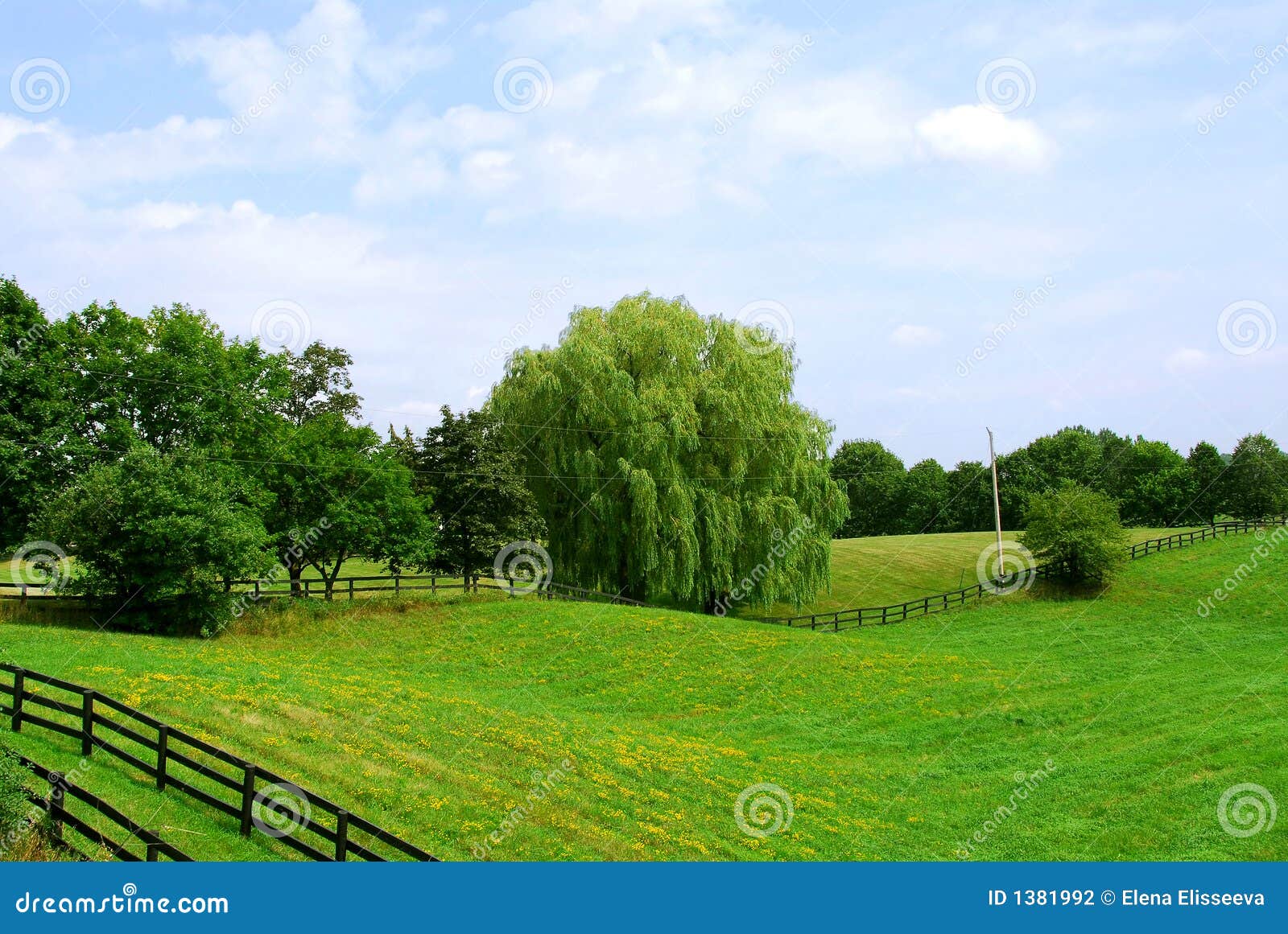 Rural landscape stock photo. Image of farming, outdoor - 1381992