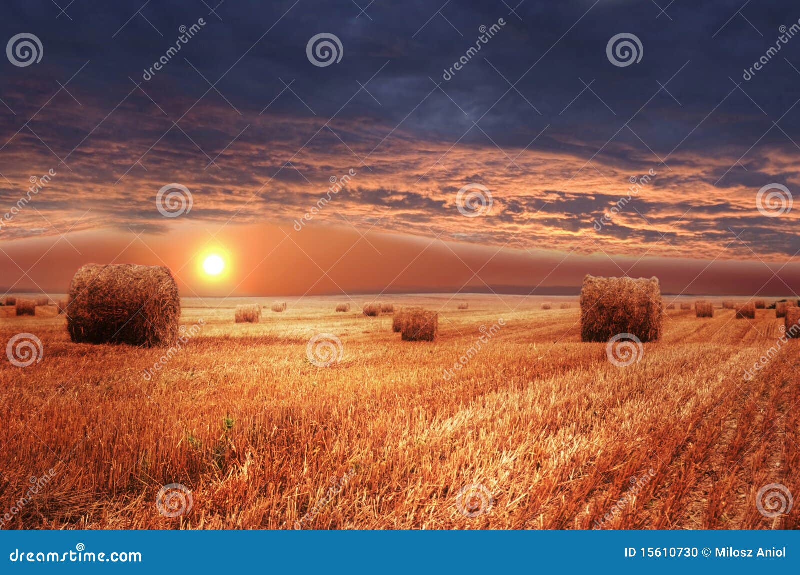 Rural landscape. stock photo. Image of abstract, autumn - 15610730