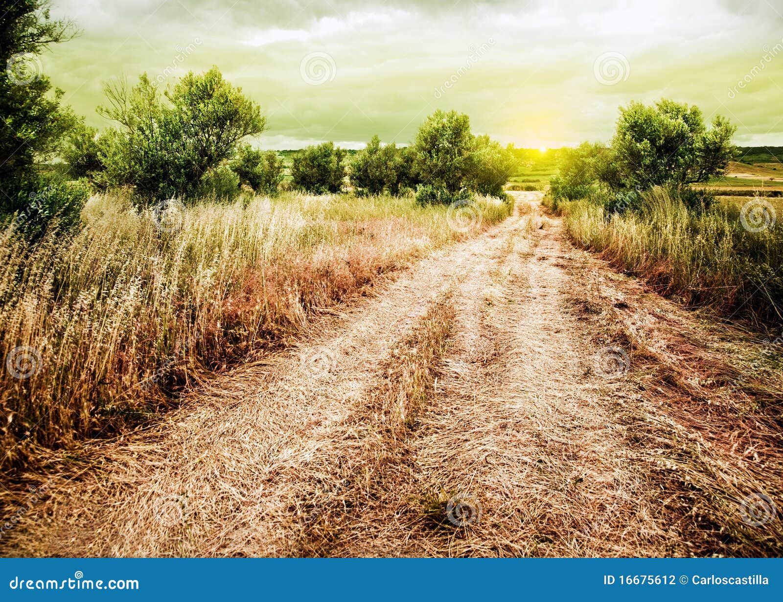 Rural landscape stock photo. Image of country, hill, floral - 16675612