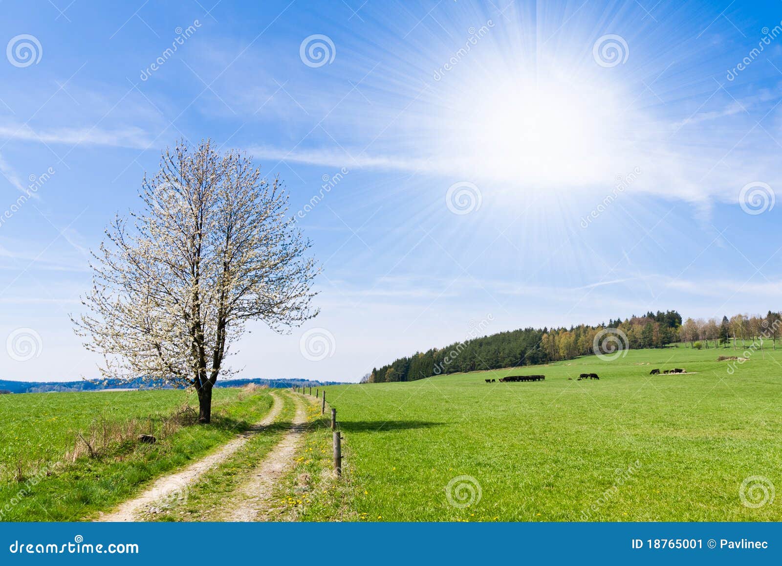 Rural landscape stock image. Image of agriculture, outside - 18765001
