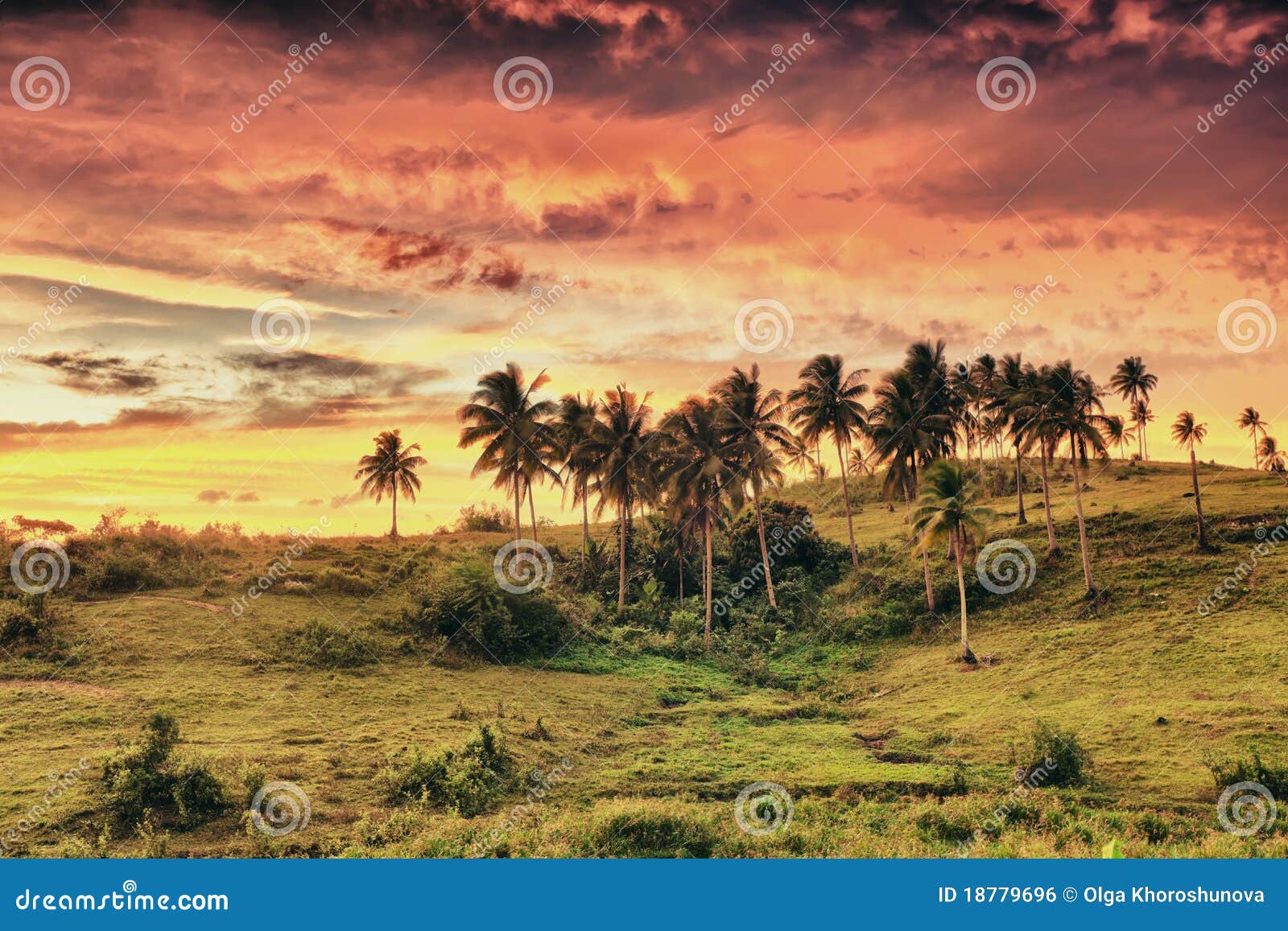 Rural landscape stock photo. Image of country, countryside - 18779696