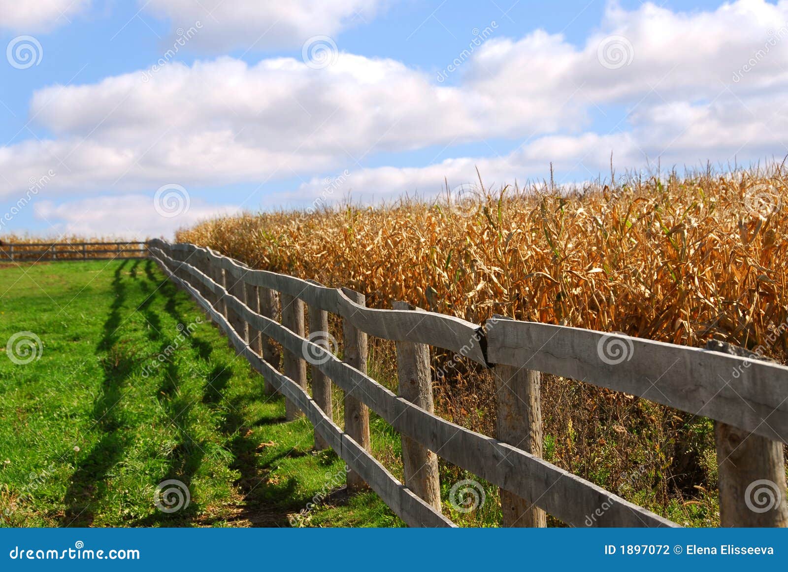 Rural landscape stock photo. Image of green, nature, grow - 1897072