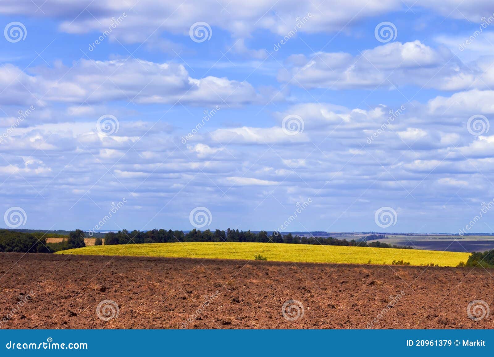 Rural landscape stock image. Image of rows, land, freshness - 20961379