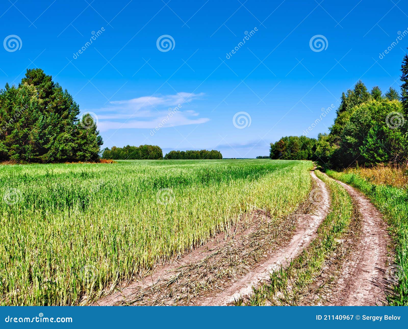 Rural landscape stock image. Image of green, dirt, pasture - 21140967