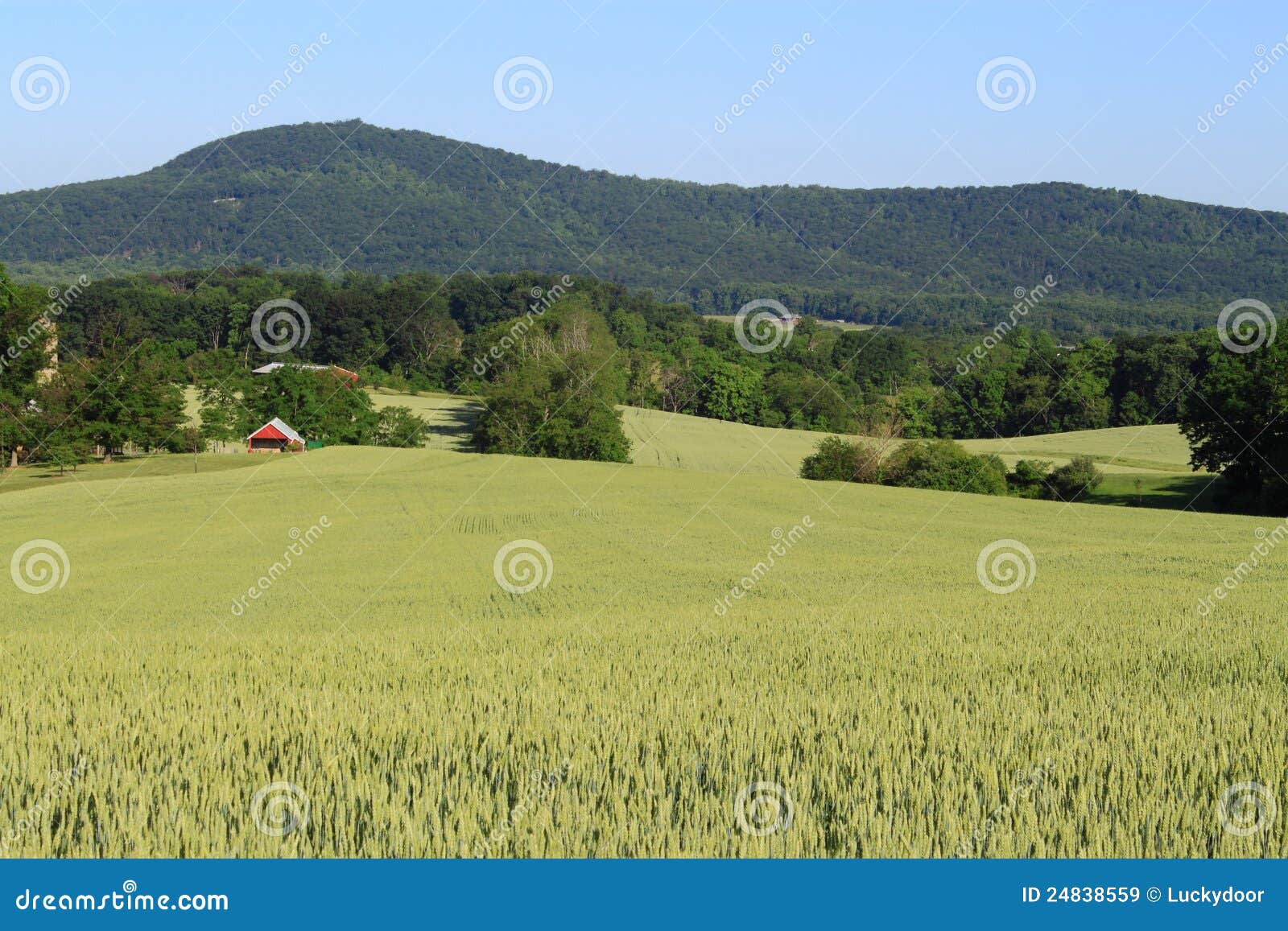 Rural Landscape stock image. Image of hill, landscapes - 24838559