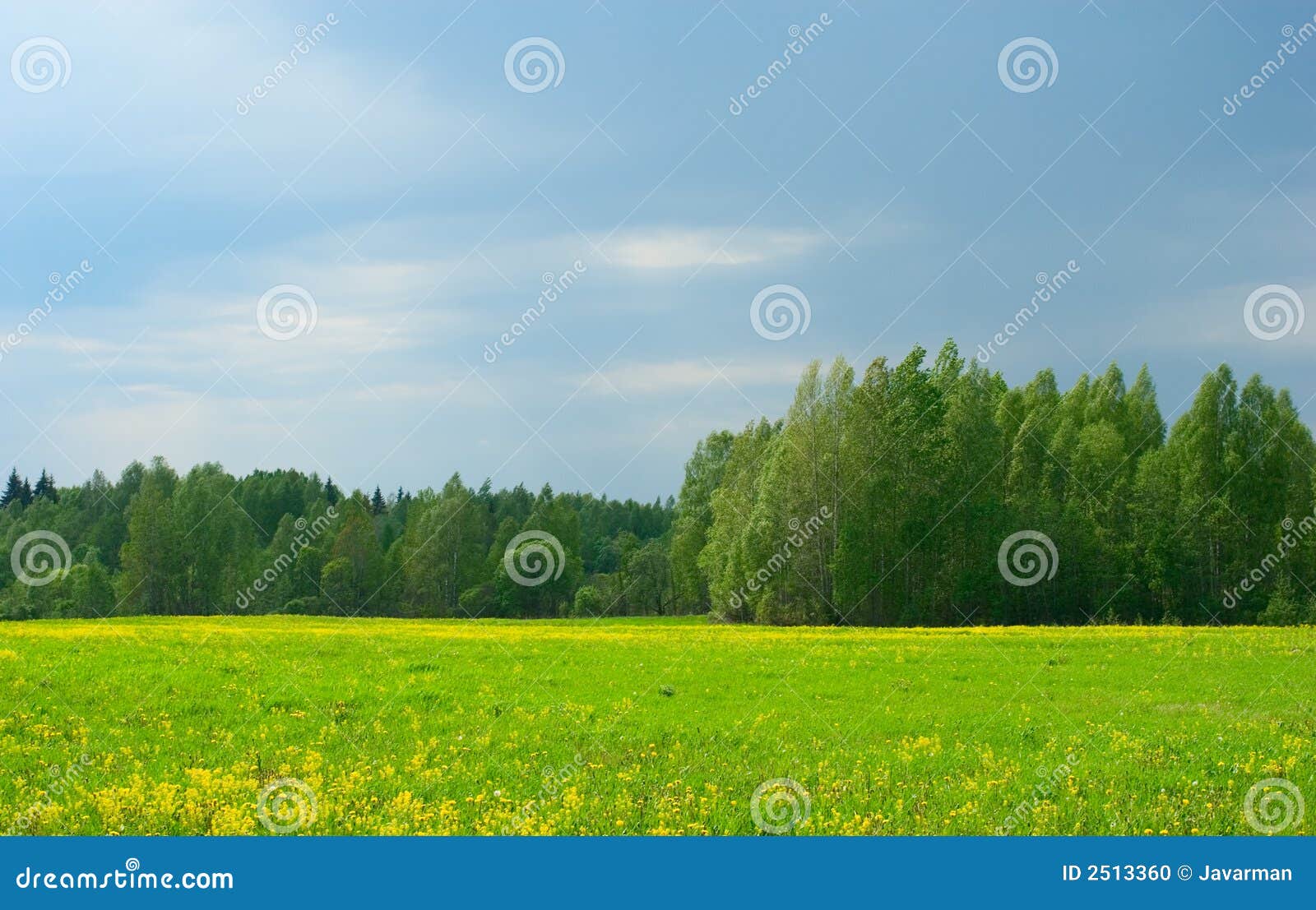 Rural landscape stock photo. Image of rural, meadow, hill - 2513360