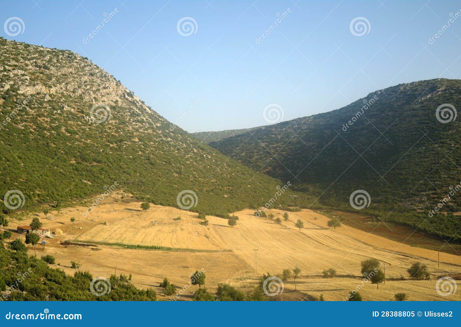 Rural landscape, stock image. Image of plant, landscape - 28388805