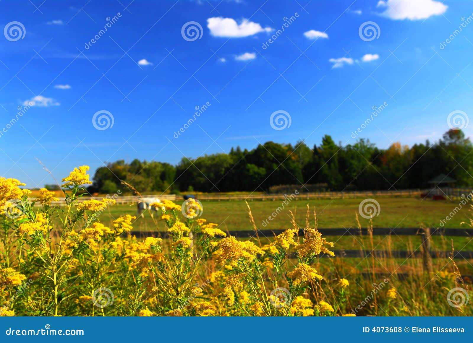 Rural landscape stock photo. Image of outside, farmland - 4073608