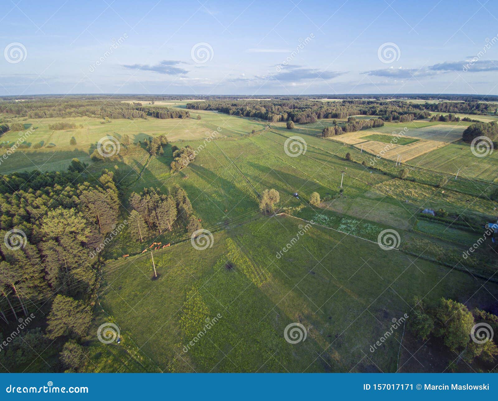Rural Landscape, Arable Fields and Meadows Seen from the Air, Photos ...