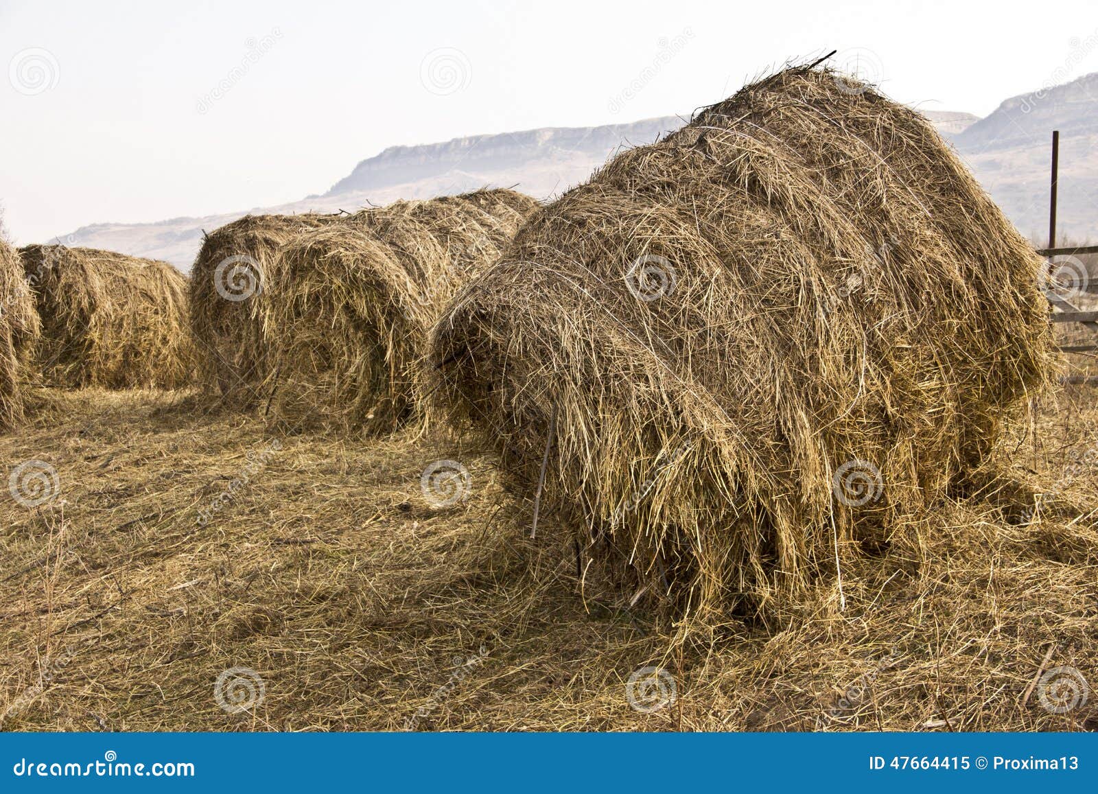 Hay Rolls on Filed in Nice Cloudy Day Stock Image - Image of culture ...