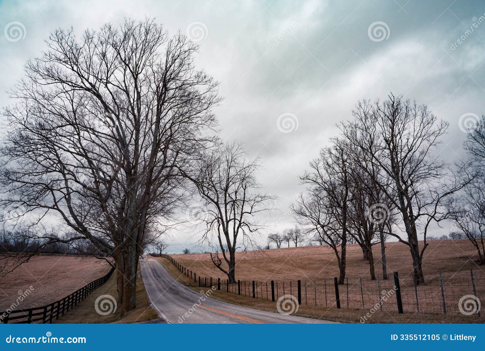 Rural Landscape with Bare Trees and Road Seen from Kentucky Stock Image ...
