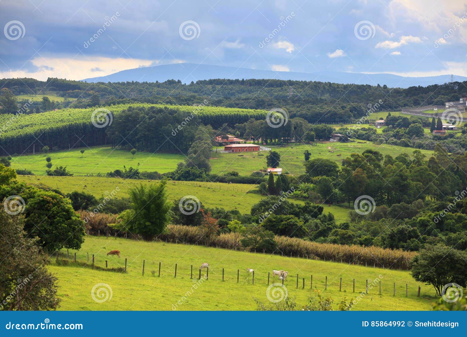 Rural landscape in Brazil stock photo. Image of scene - 85864992