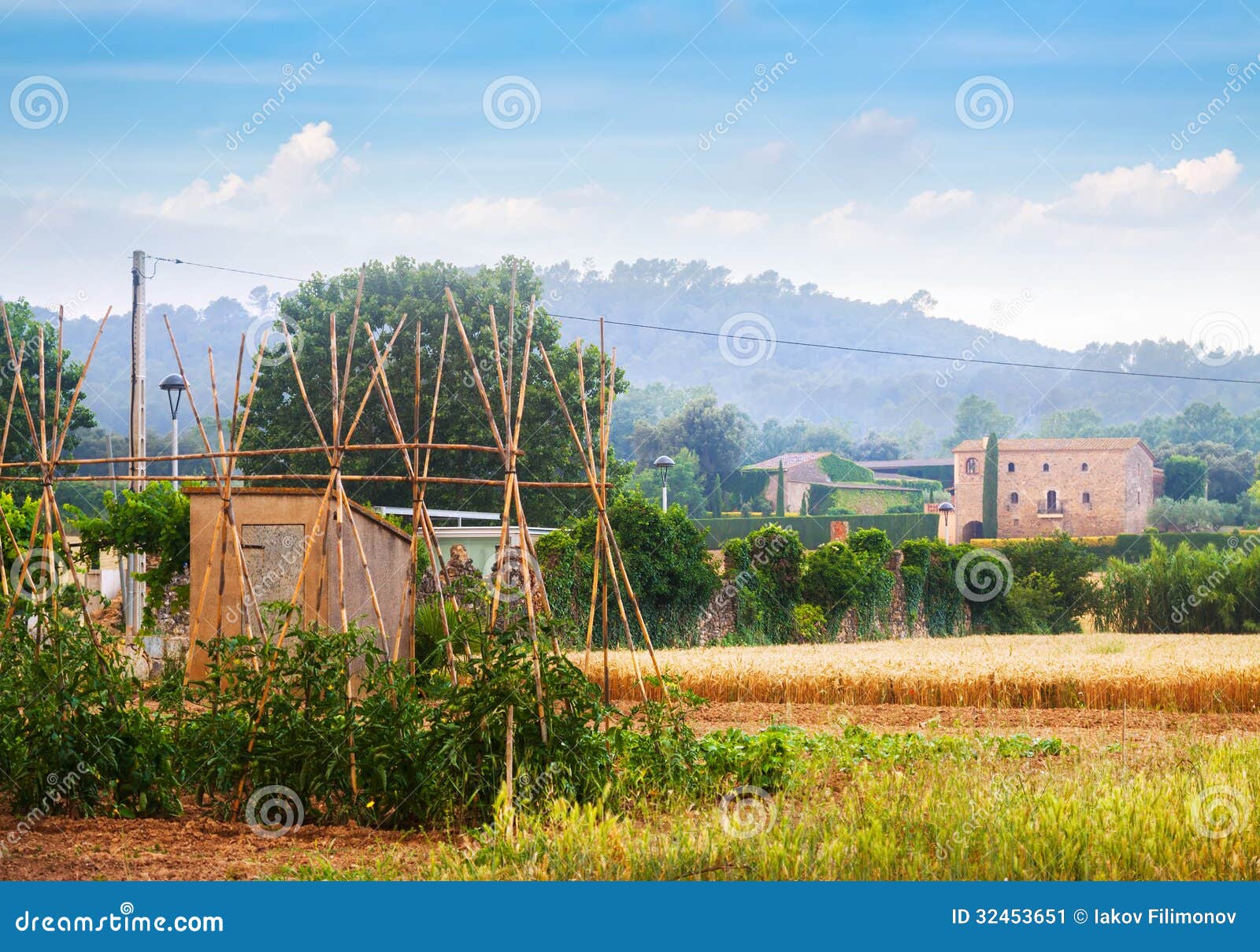 Rural Landscape of Catalonia Stock Image - Image of farming, scene ...
