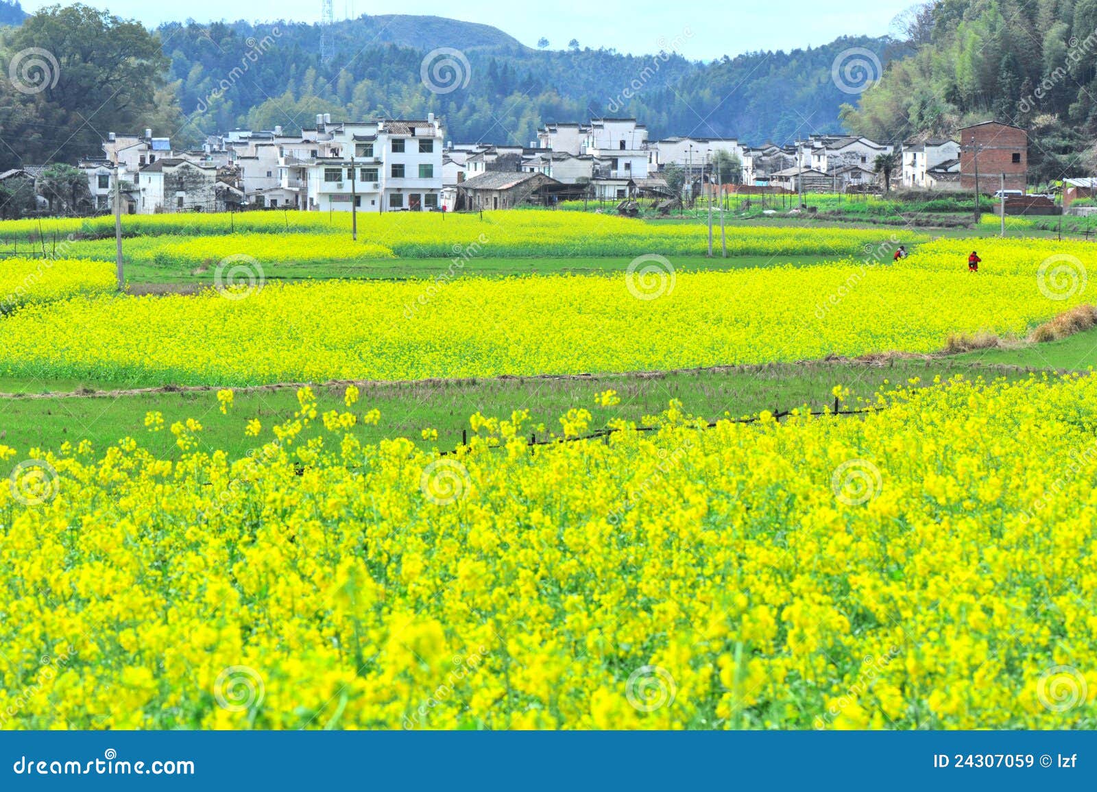 Rural landscape at china stock image. Image of dwellings - 24307059