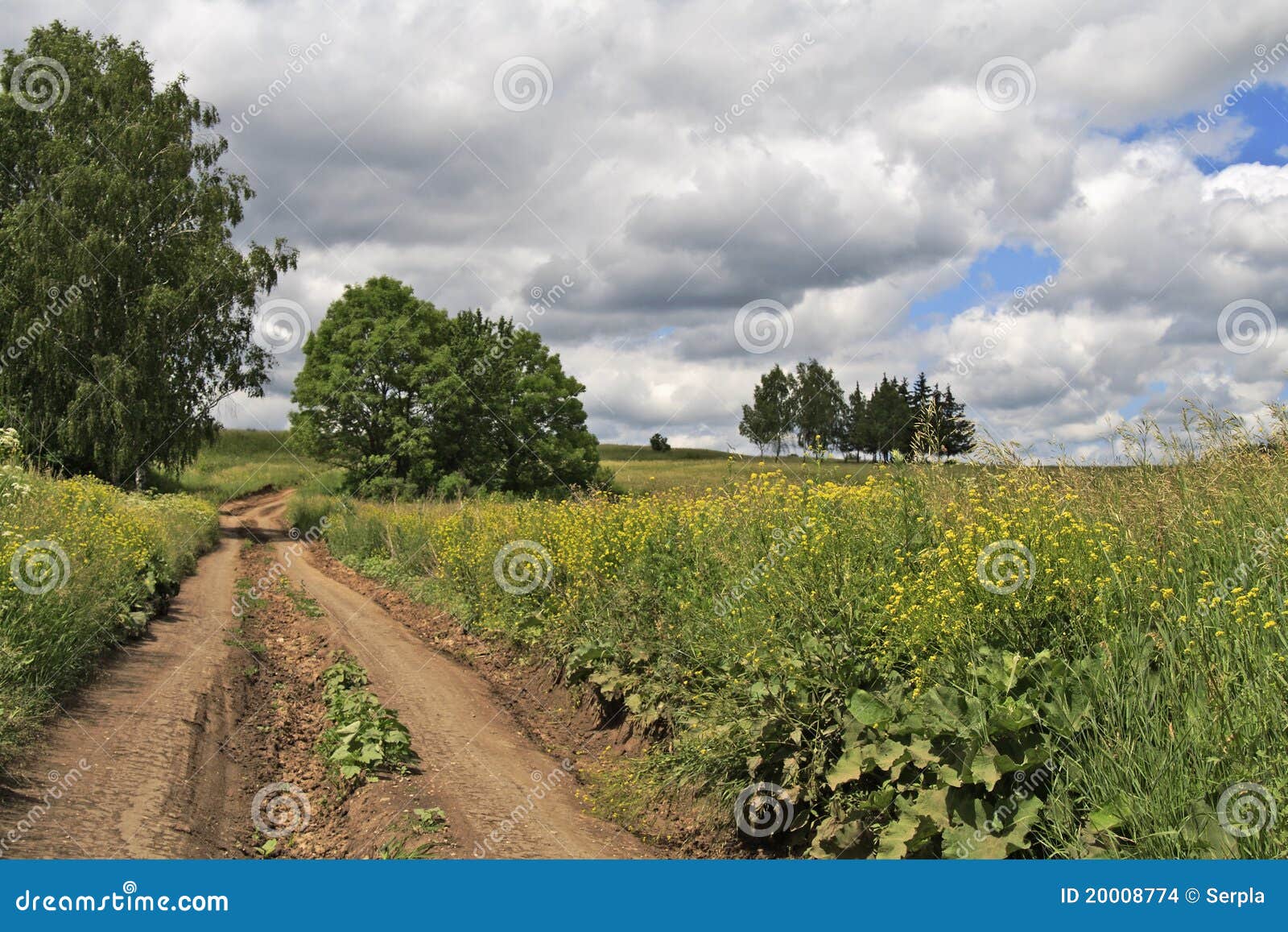 Rural Landscape with Country Road Stock Photo - Image of beautiful ...