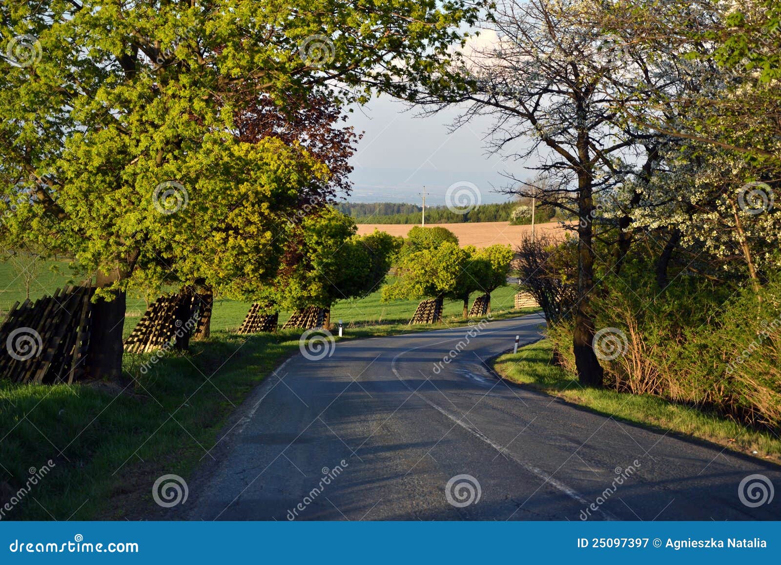 Rural Landscape in Czech Republic Stock Image - Image of landscape ...