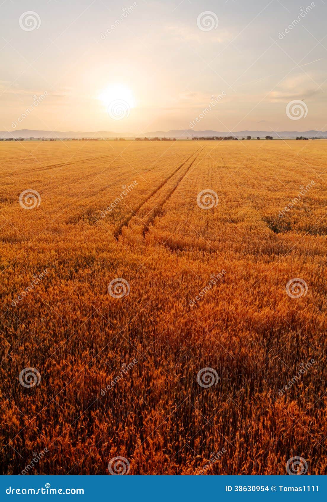 Rural Landscape at Dawn with the Sun. Stock Photo - Image of outside ...