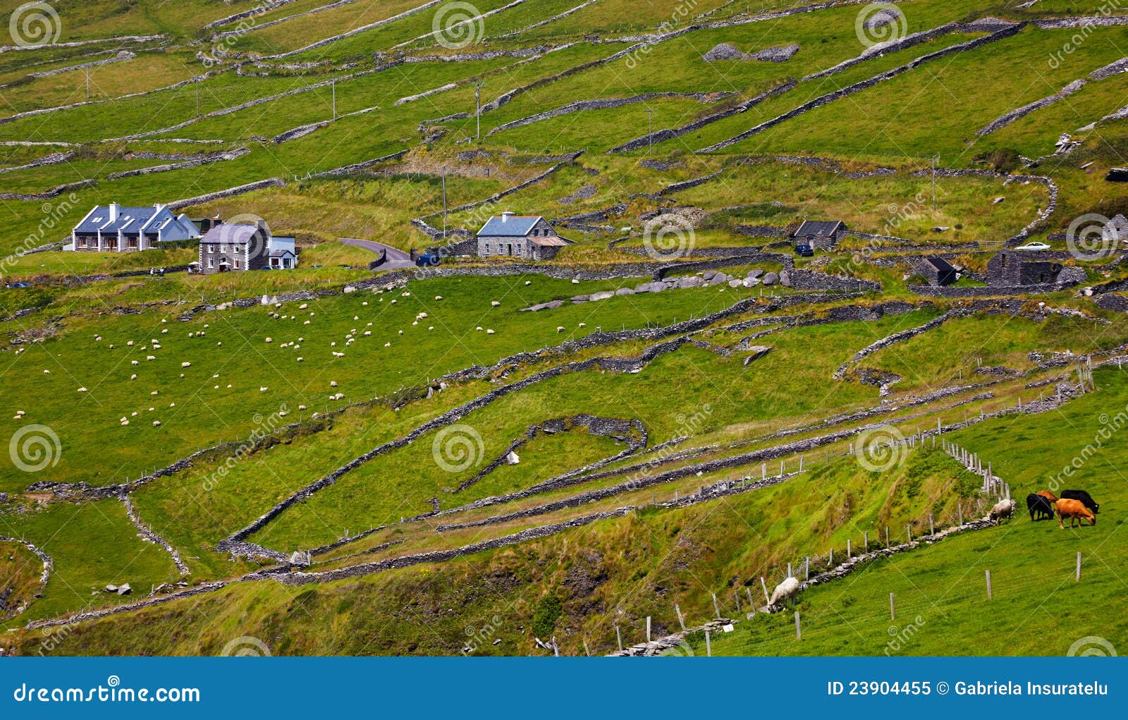 Rural Landscape on Dingle Peninsula Stock Image - Image of houses ...