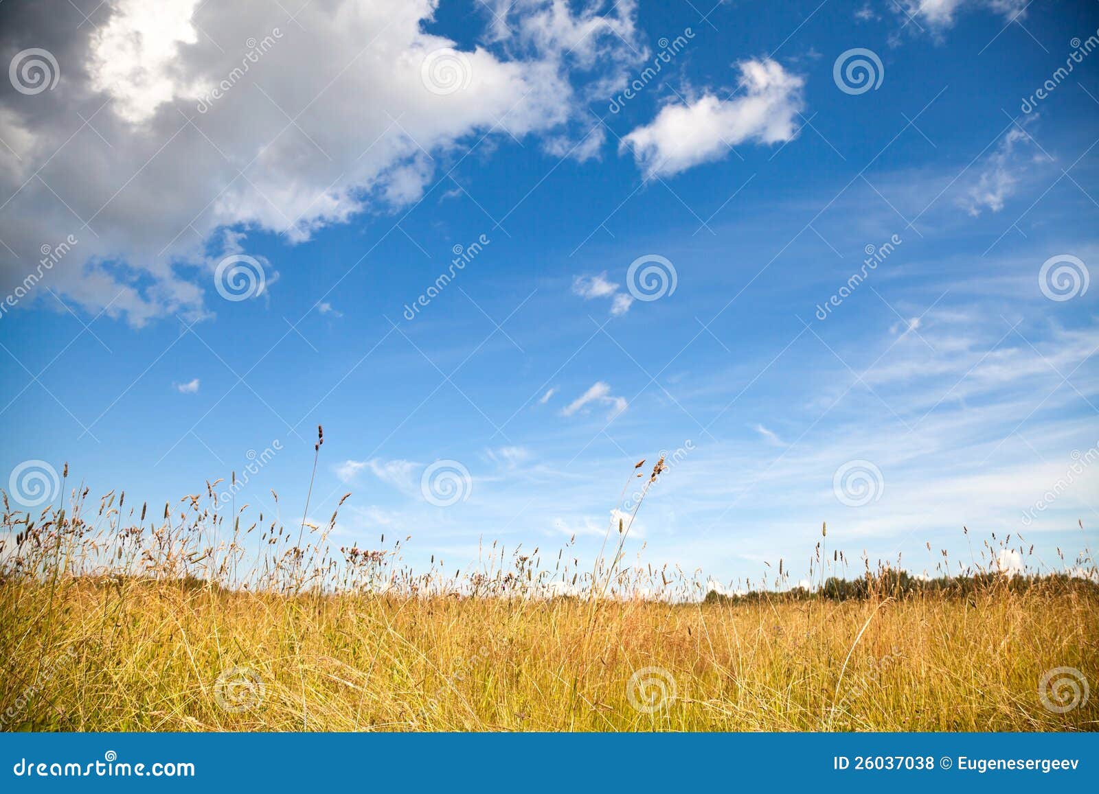 Rural Landscape with Dry Field Stock Photo - Image of field, agrarian ...
