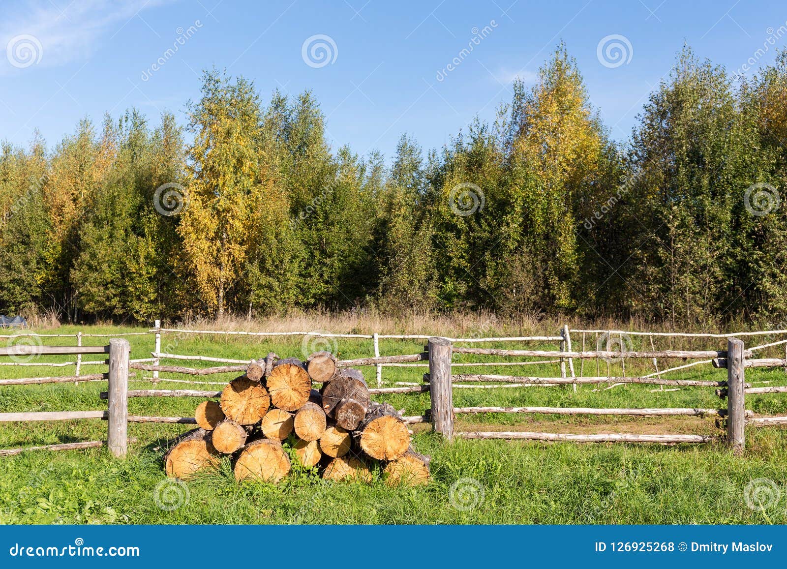 Rural Landscape with Dry Logs Stock Photo - Image of timber ...
