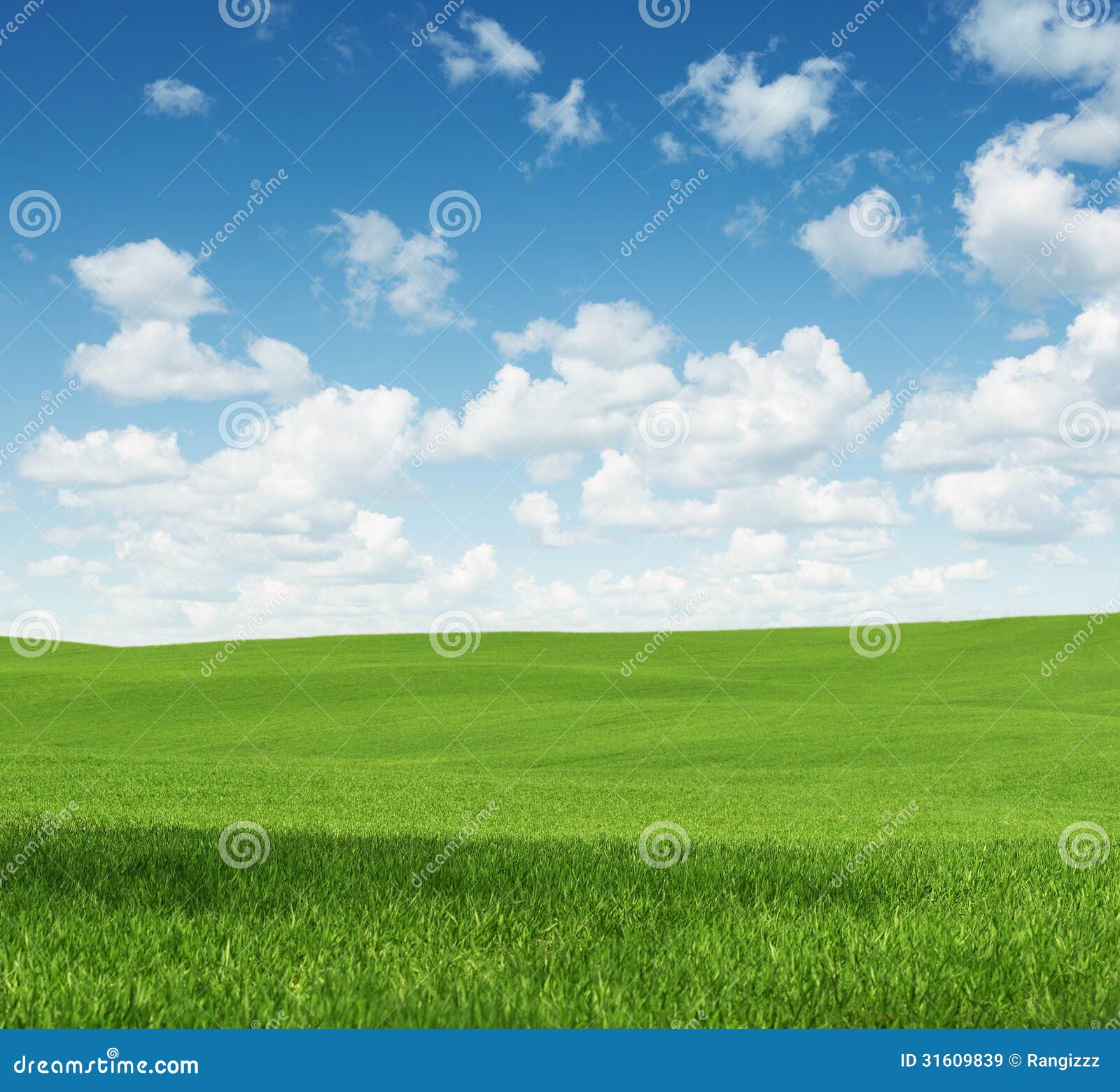 Rural landscape stock image. Image of clear, fresh, back - 31609839