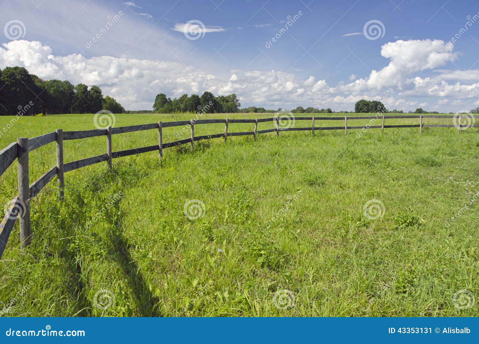 Rural Landscape Farmland Field With Wooden Fence Stock Image Image Of