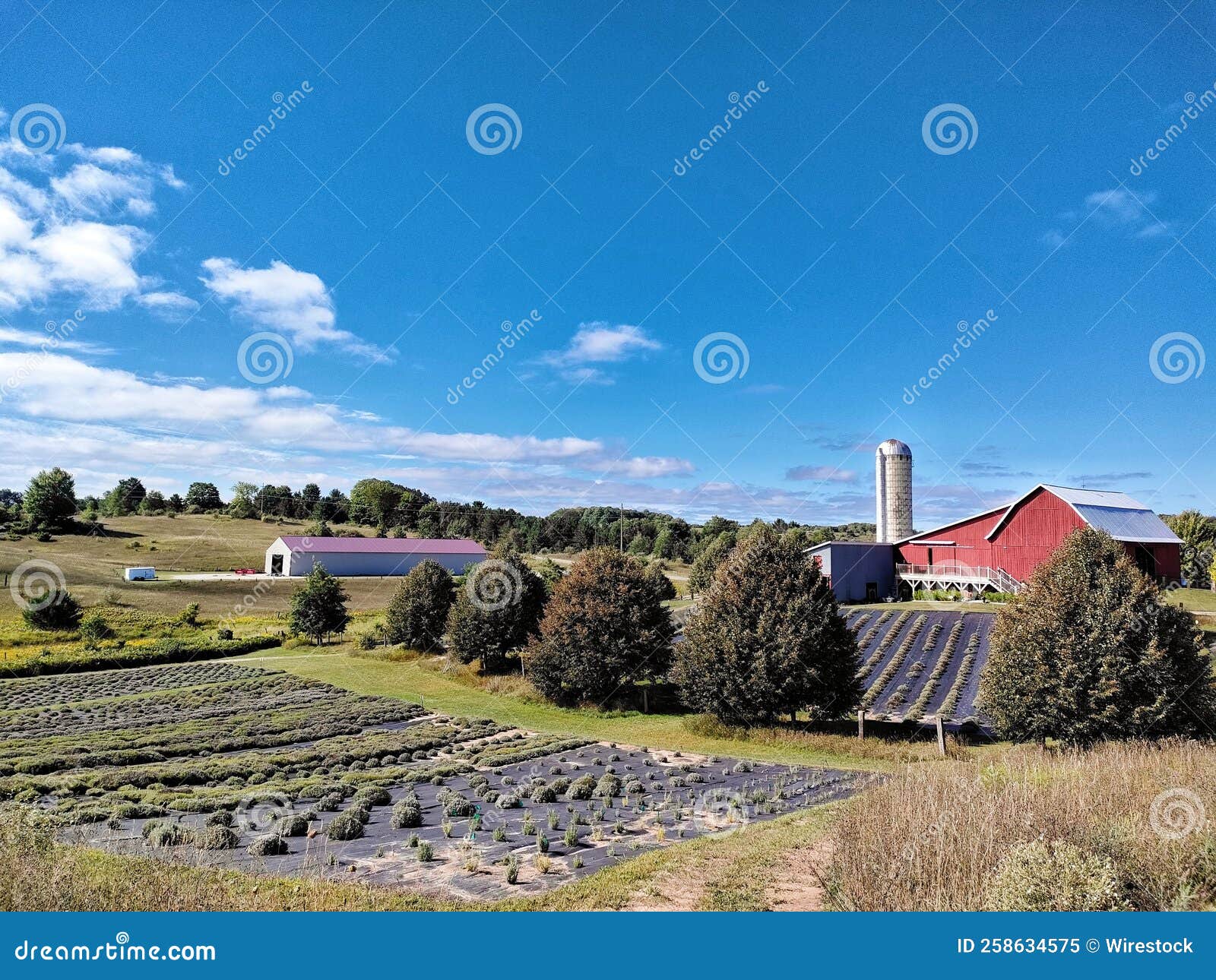 Rural Landscape of Farmlands Stock Image - Image of farming ...