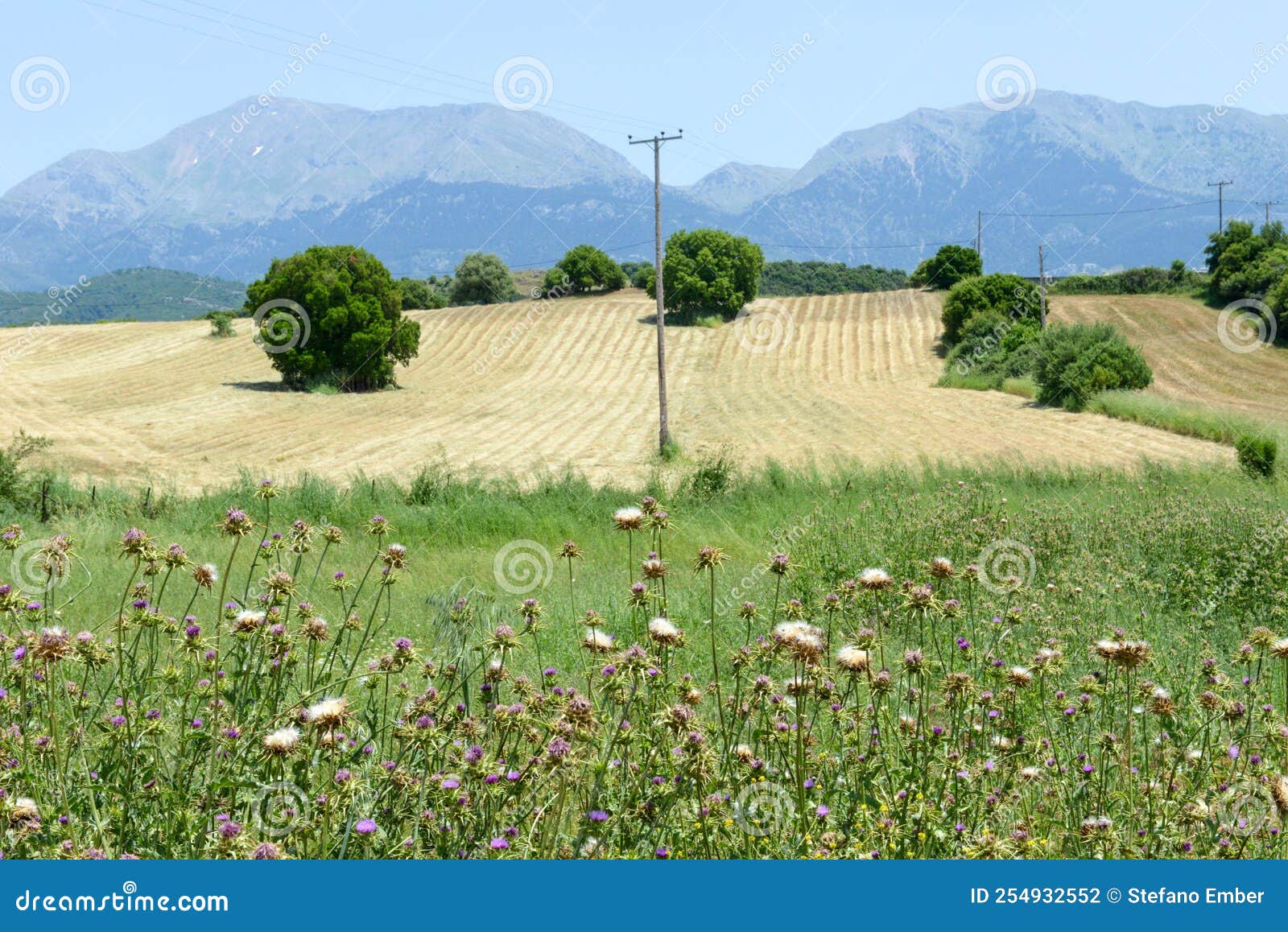 Rural Landscape with Fields and Mount Erymanthos in Greece Stock Photo ...