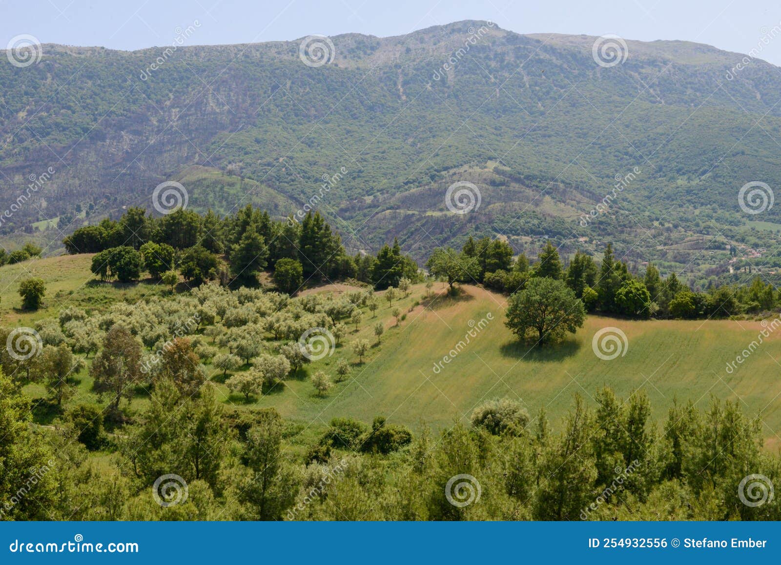 Rural Landscape with Fields and Mount Erymanthos in Greece Stock Photo ...