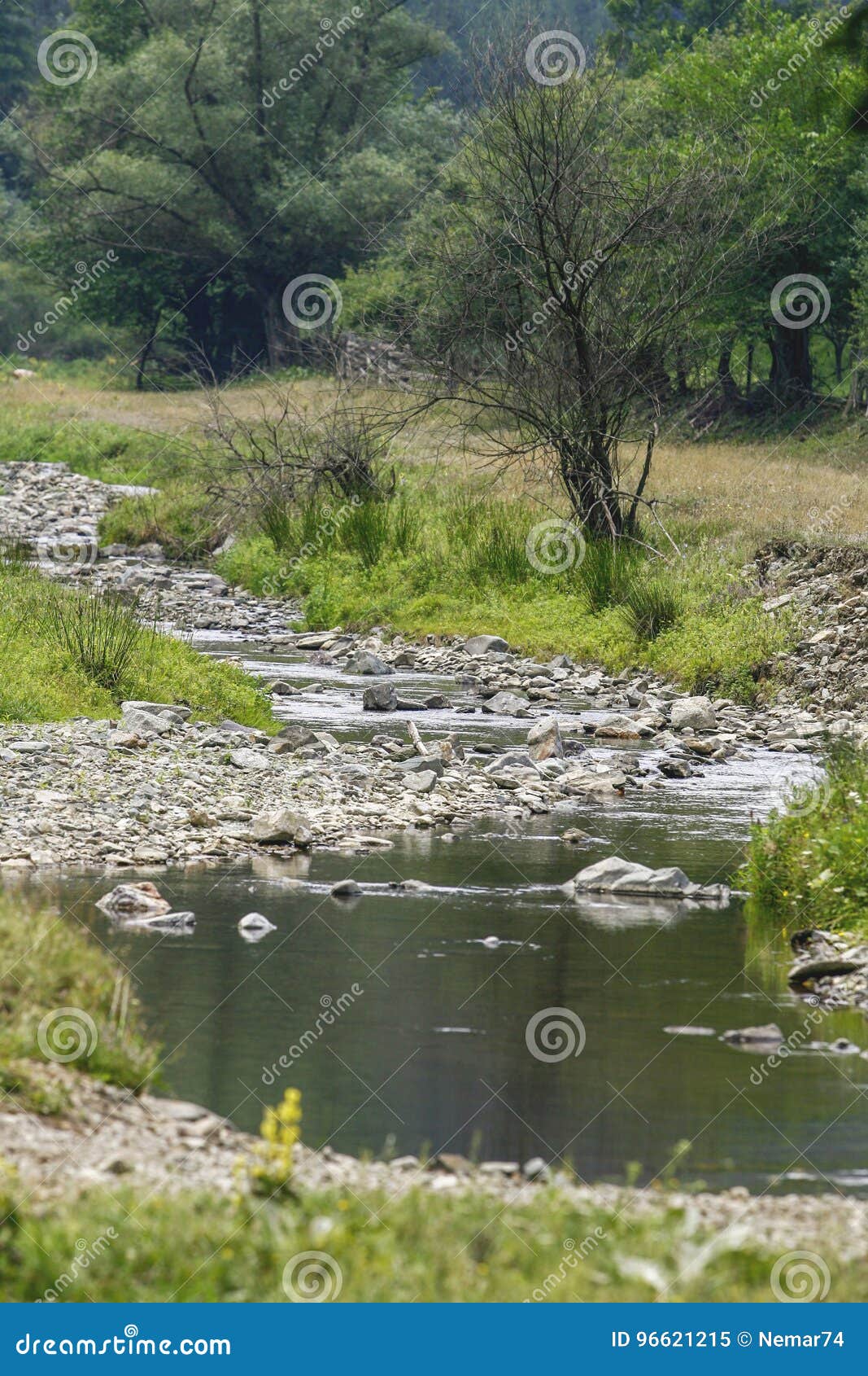 Rural Landscape with Flowing Little Stream and Forest on Background ...