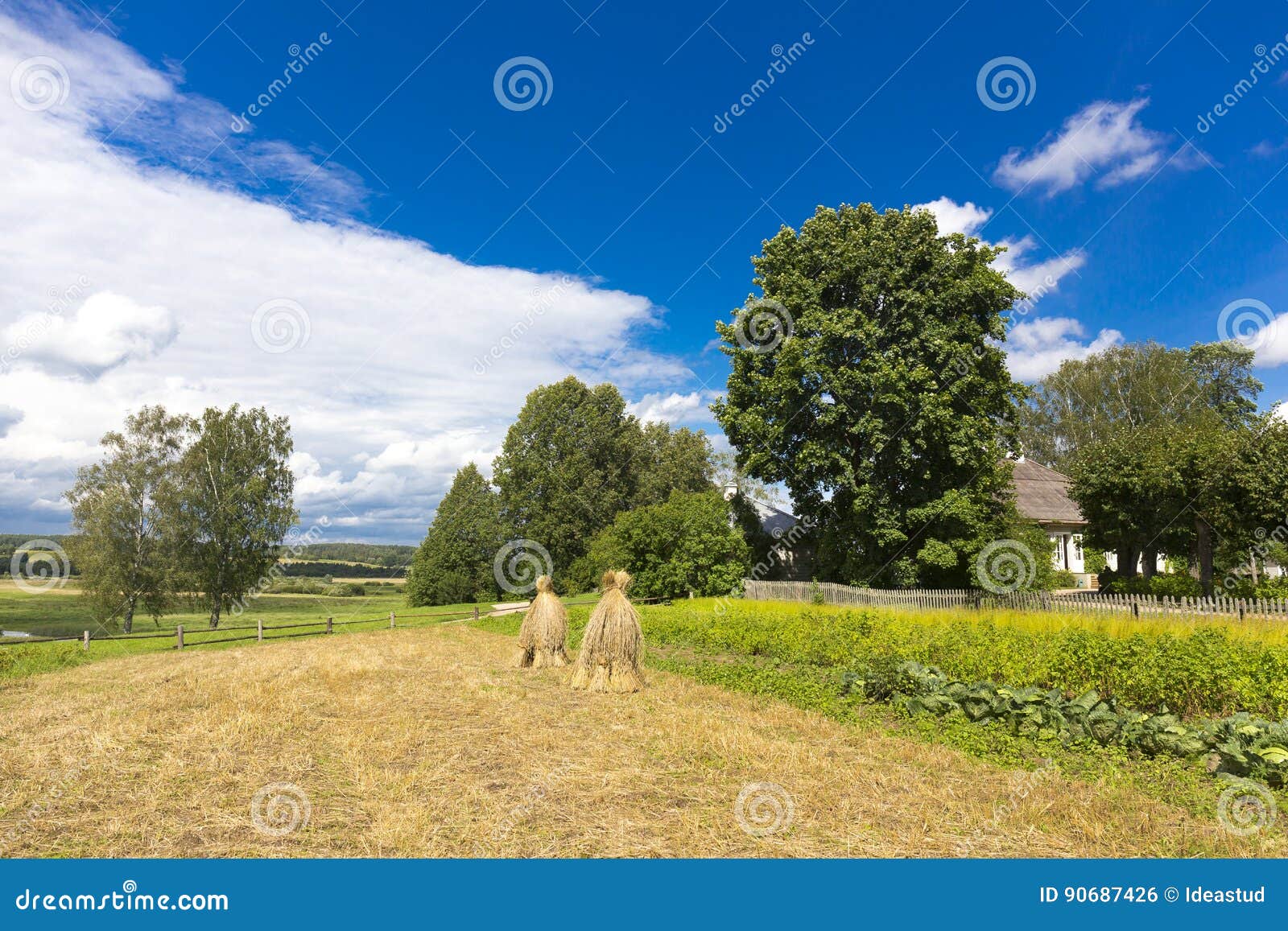 Rural Landscape with Haystac Stock Photo - Image of district, region ...