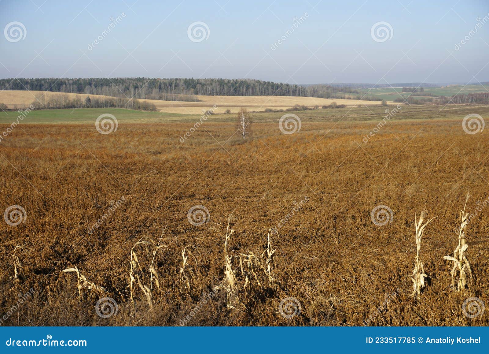 Rural Landscape. Horizontal View. Panorama of Fields and Open Spaces ...