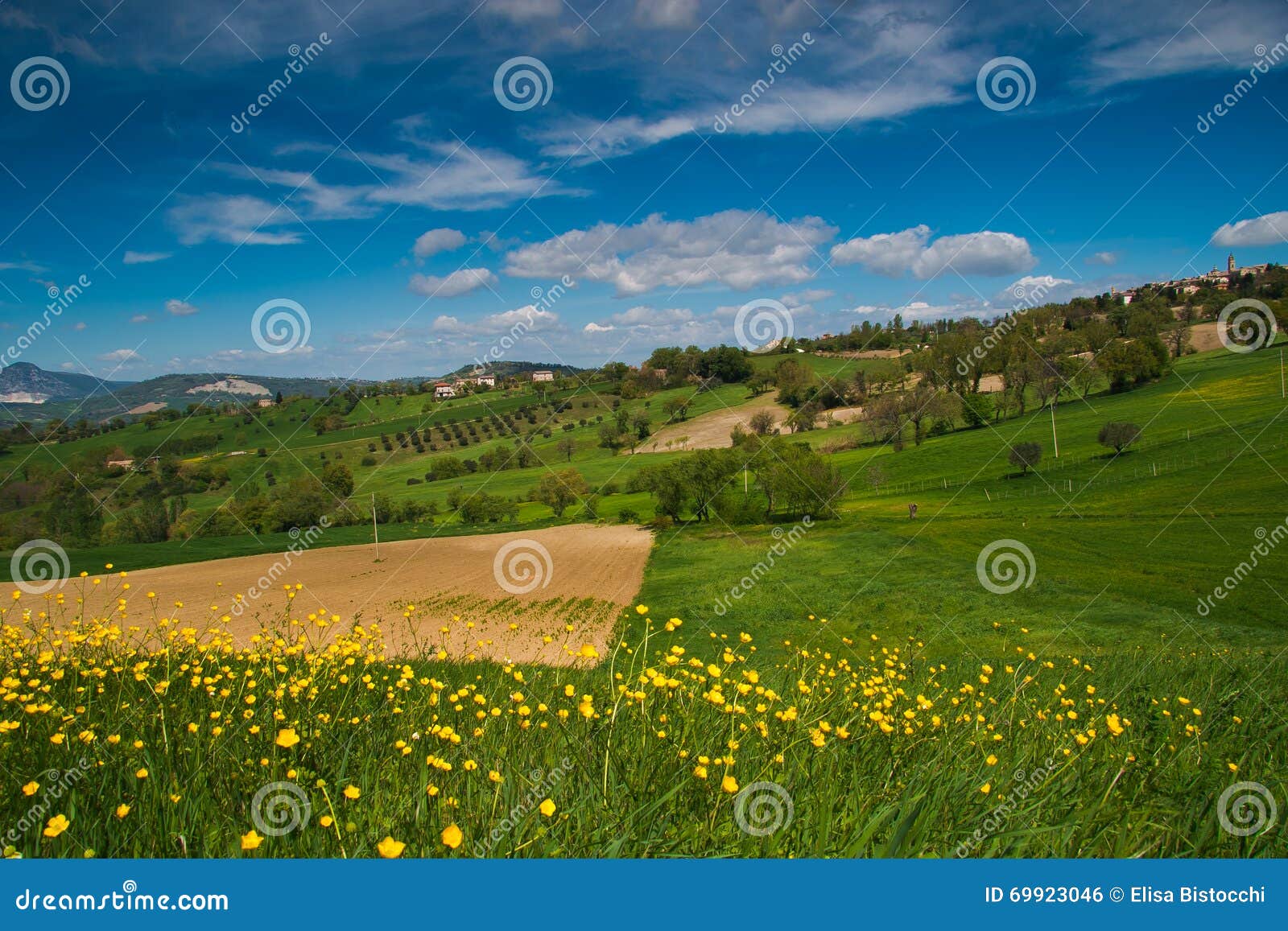 Rural Landscape in the Marche Region Stock Photo - Image of marche ...
