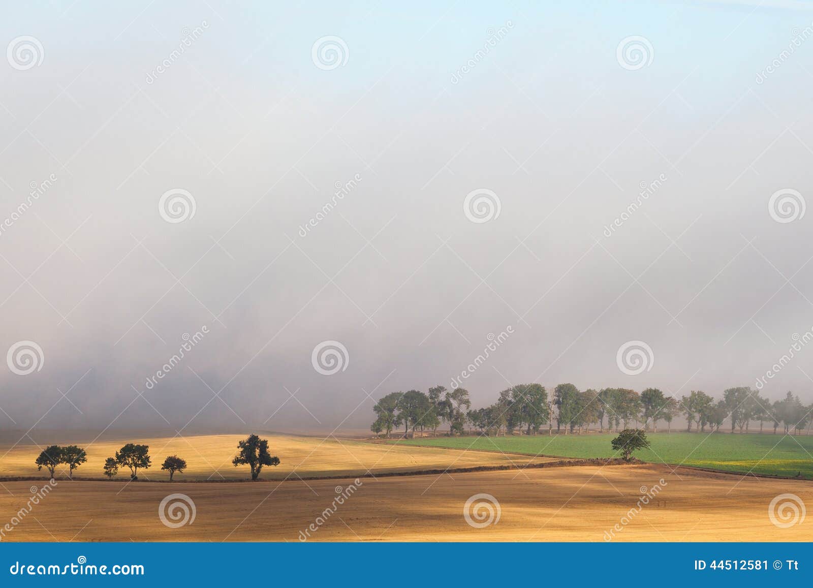 4,391 Treeline Landscape Stock Photos - Free & Royalty-Free Stock ...
