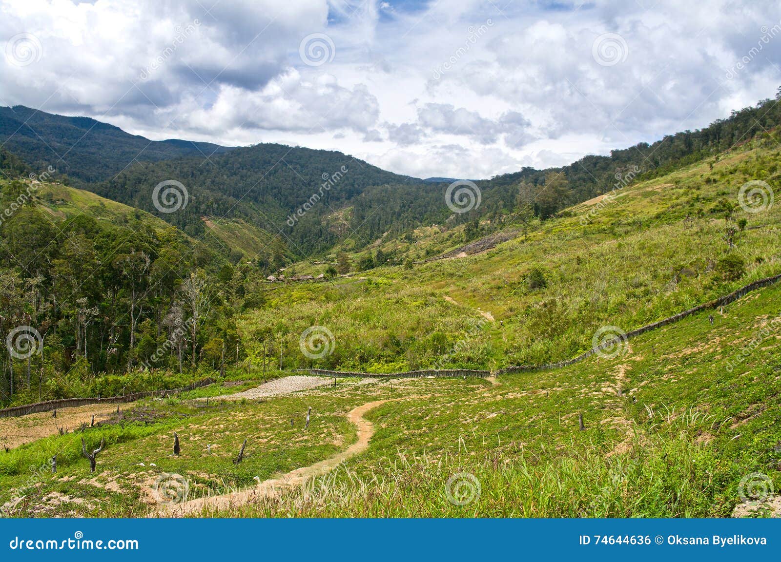 Rural Landscape in Mountains, New Guinea Stock Photo - Image of cloudy ...